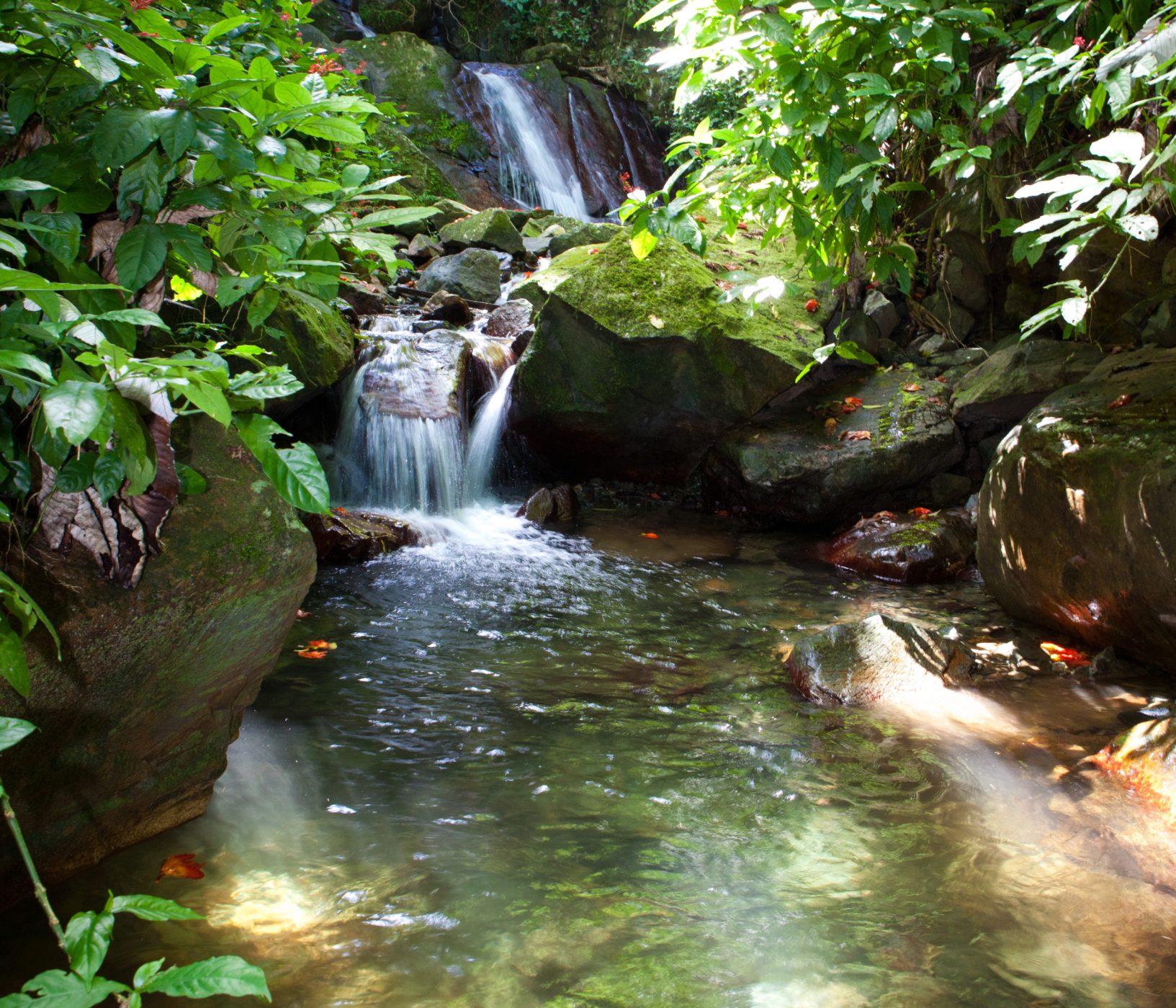 Puerto Rico Outdoor Adventure Tours | Rocaliza Adventure Tours